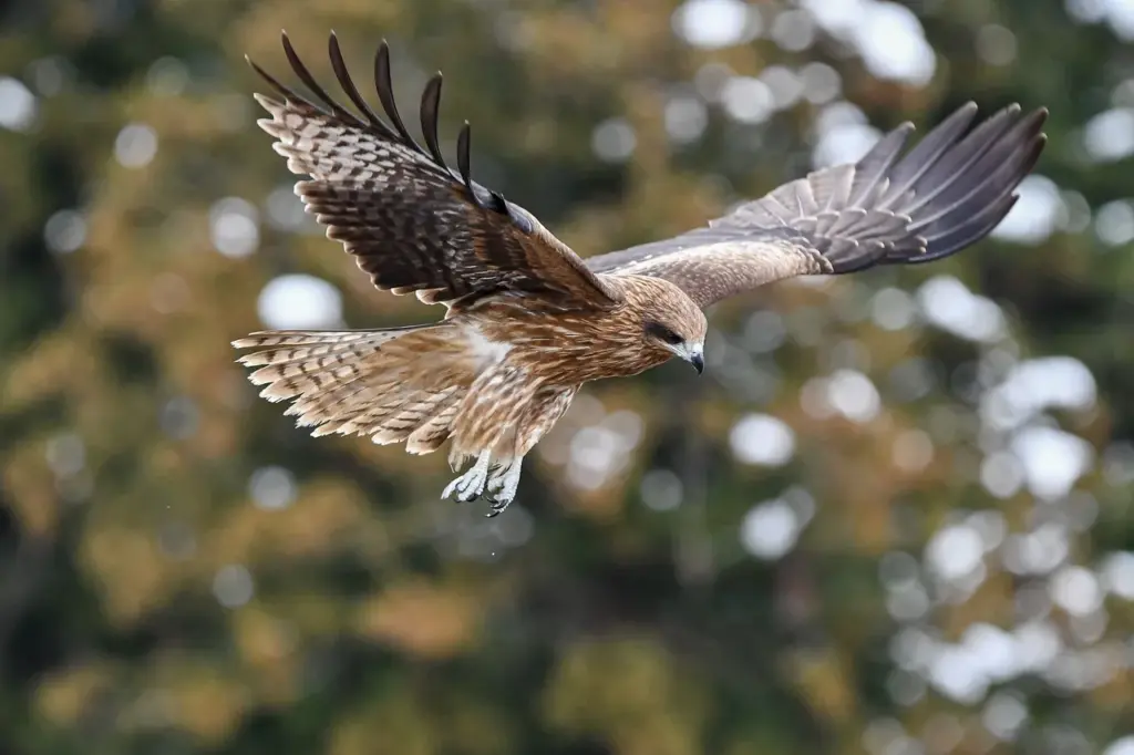 Descubre la magia de la impresionante Playa de Tomari: ¡un paraíso ...